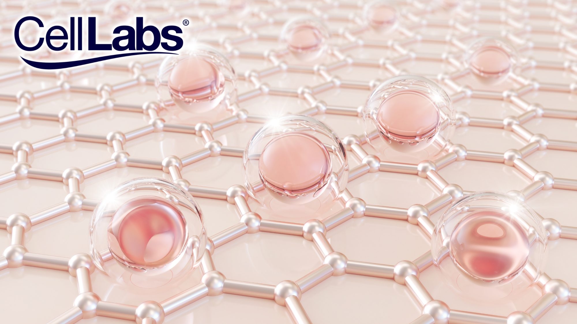 Why You Need Collagen - CellLabs